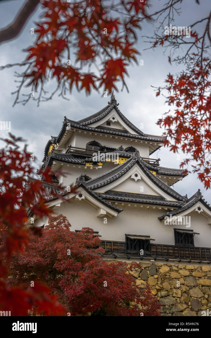 Autumn at Hikone Castle. Hikone castle is 1 of 12 original castles in ...