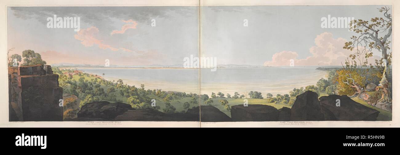 Arbol malabar hi-res stock photography and images - Alamy