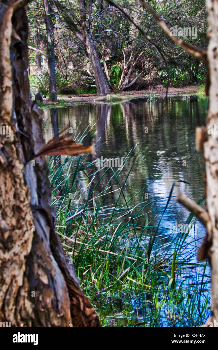 Lake in Studmaster Park Stock Photo - Alamy