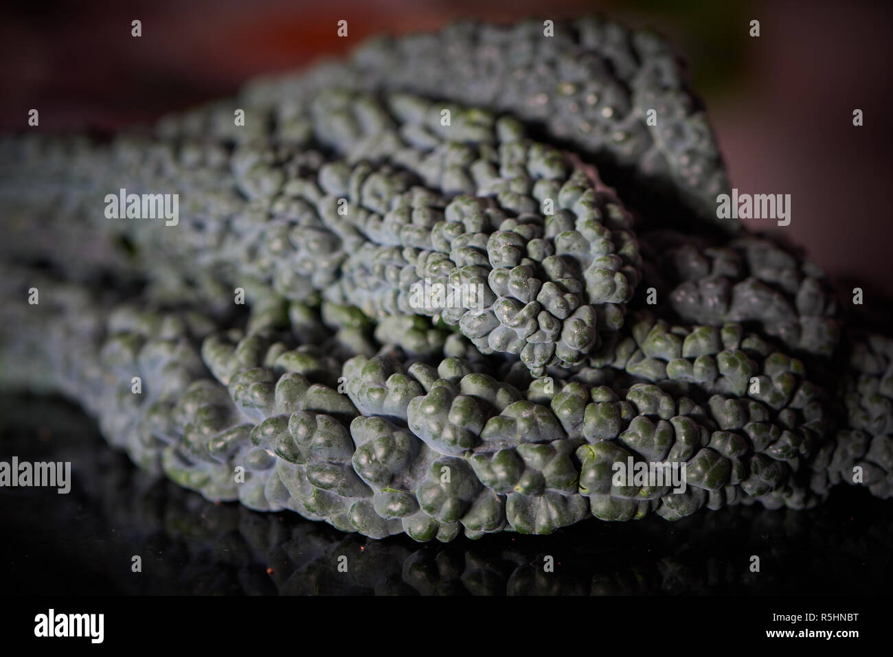 cavolo nero cabbage Stock Photo - Alamy