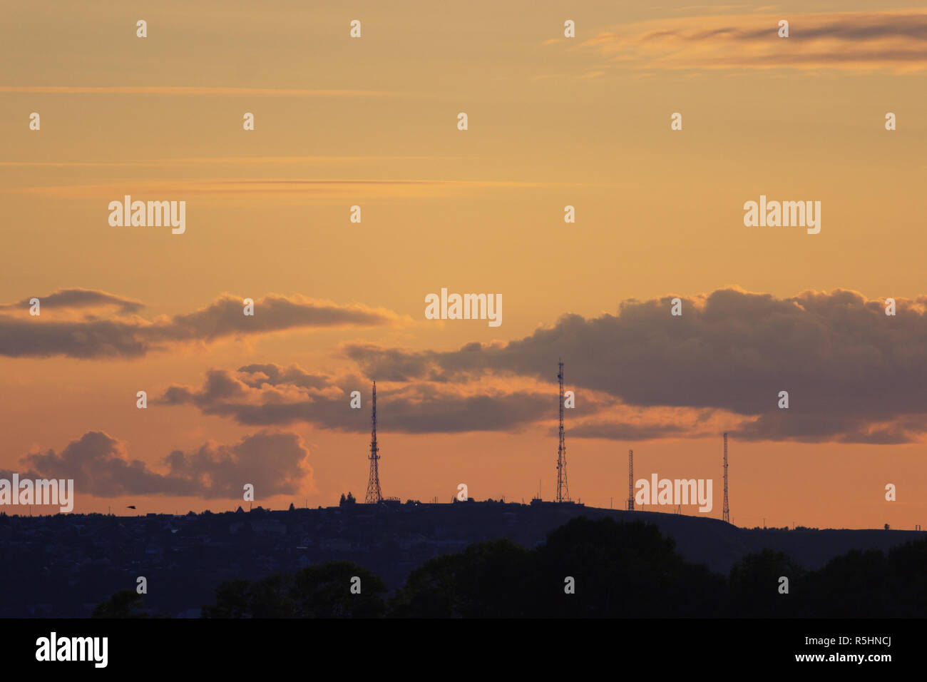 Landscape, sunny dawn in a field, sunset over trees Stock Photo - Alamy
