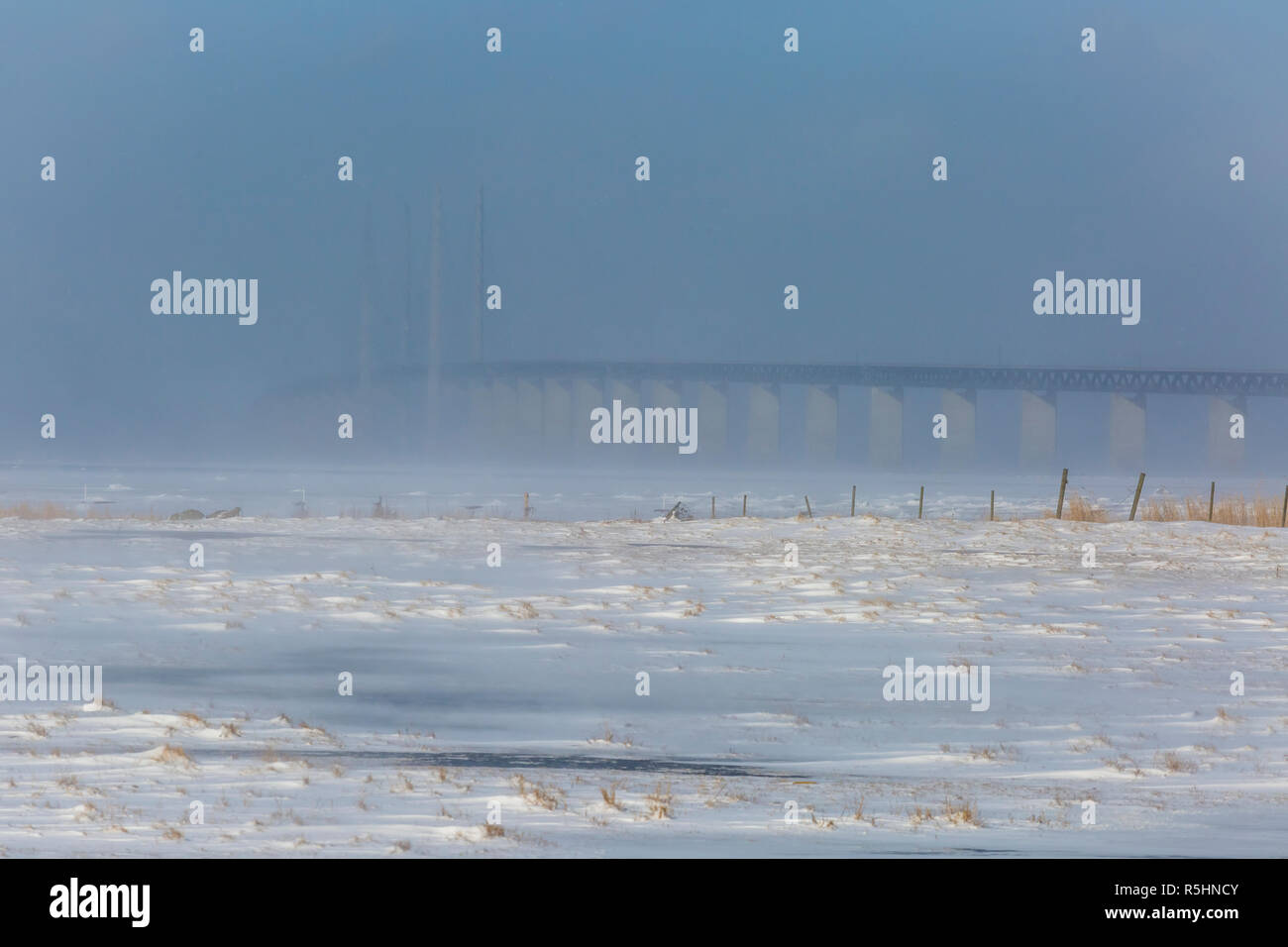 Snow storm on the beach of Oresund between Denmark and Sweden with the ...