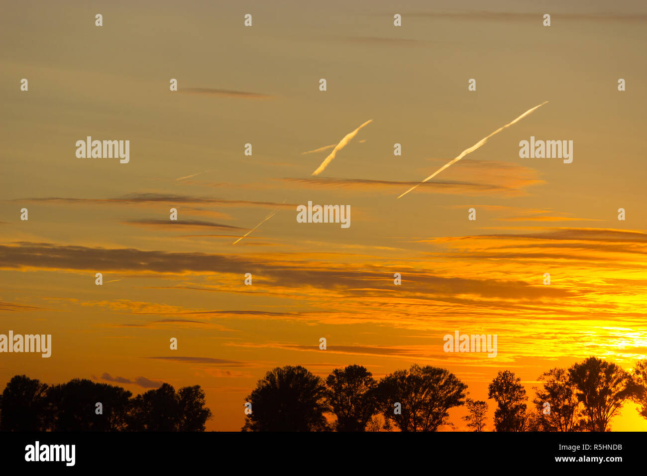 Landscape, sunny dawn in a field, sunset over trees Stock Photo - Alamy