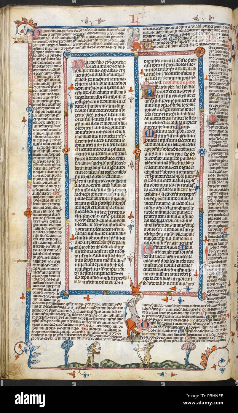 Rabbit shooting hi-res stock photography and images - Alamy