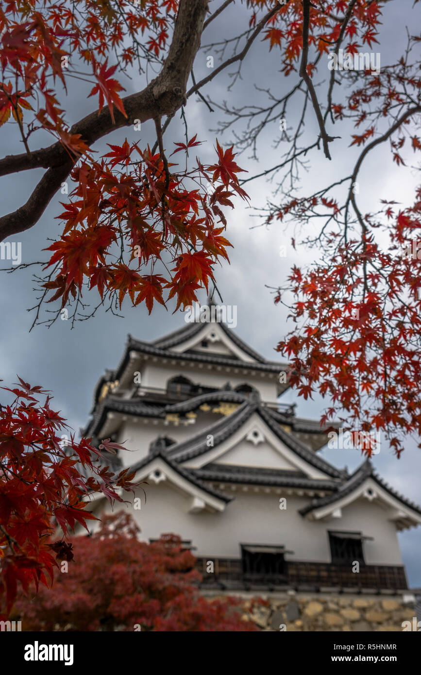 Autumn at Hikone Castle. Hikone castle is 1 of 12 original castles in ...