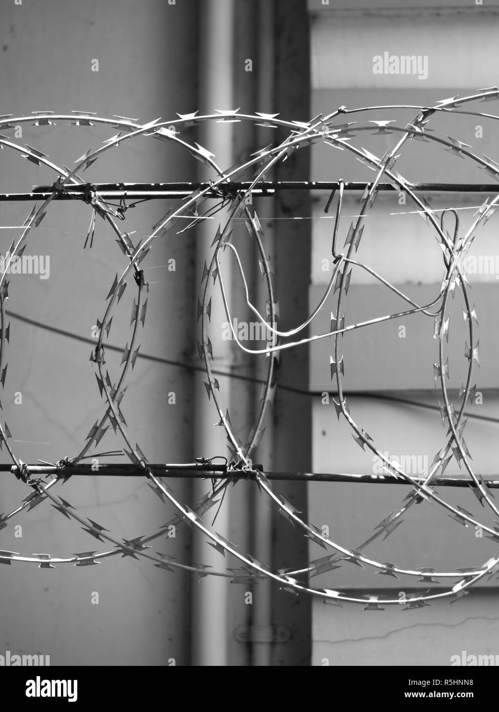Coiled fencing wire Black and White Stock Photos & Images - Alamy