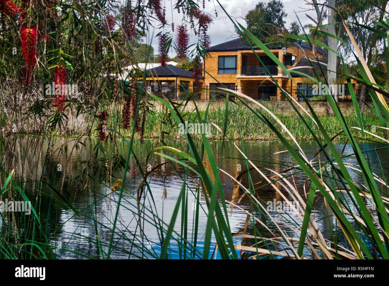 House overlooking Studmaster Park Stock Photo - Alamy