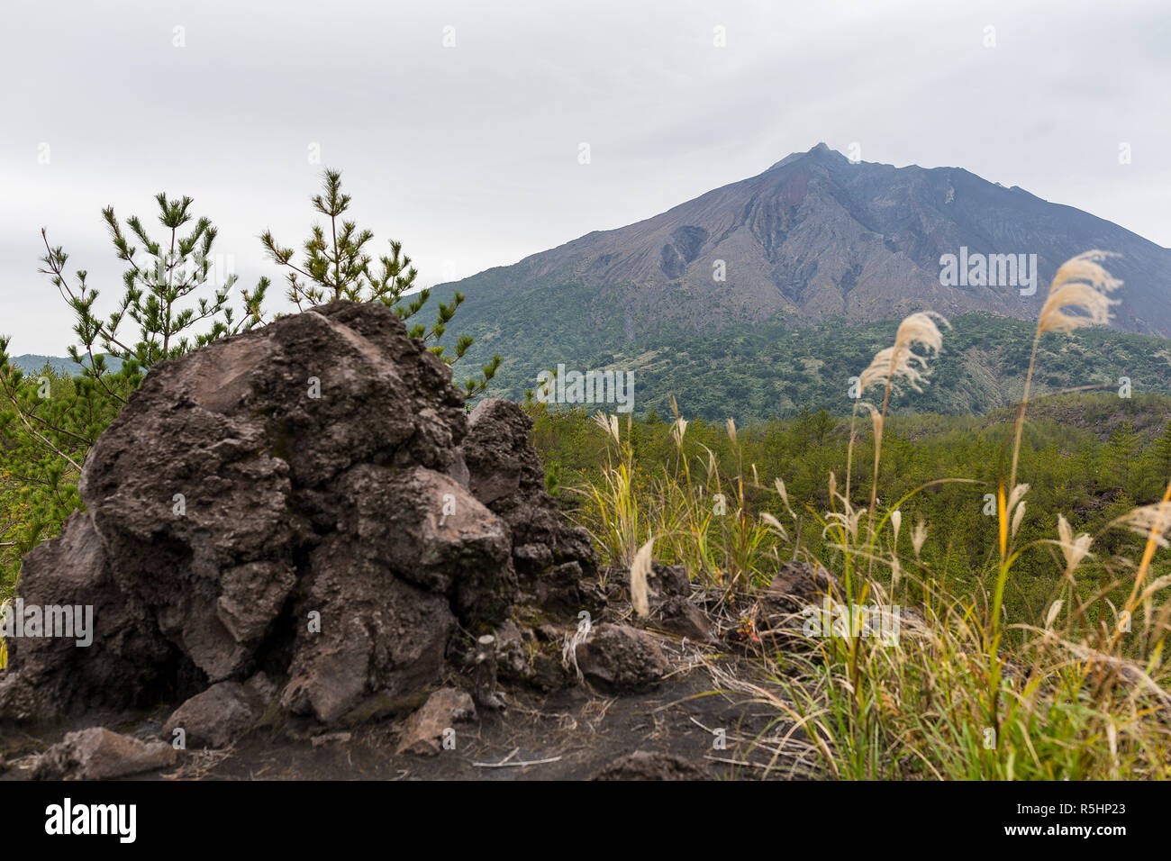 Japan with Sakurajima Volcano Stock Photo - Alamy