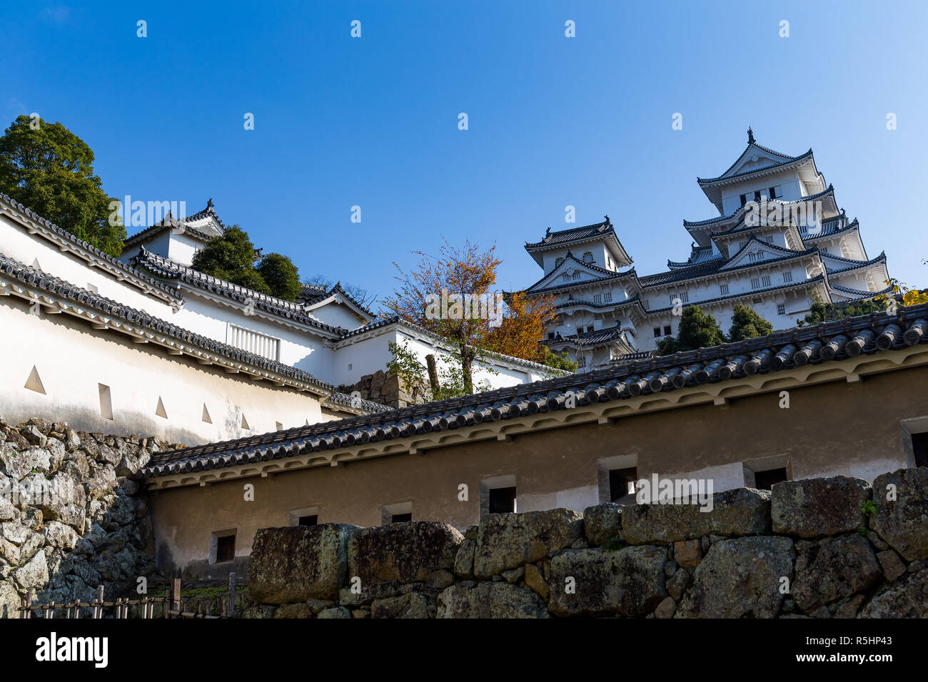 Himeji garden flower hi-res stock photography and images - Alamy