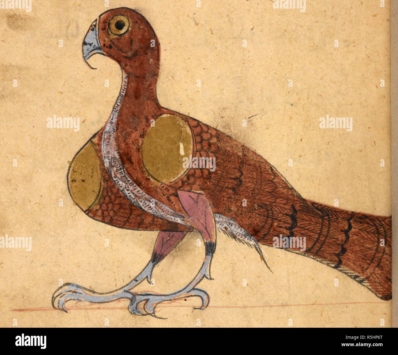 Kitab al hayawan hi-res stock photography and images - Alamy