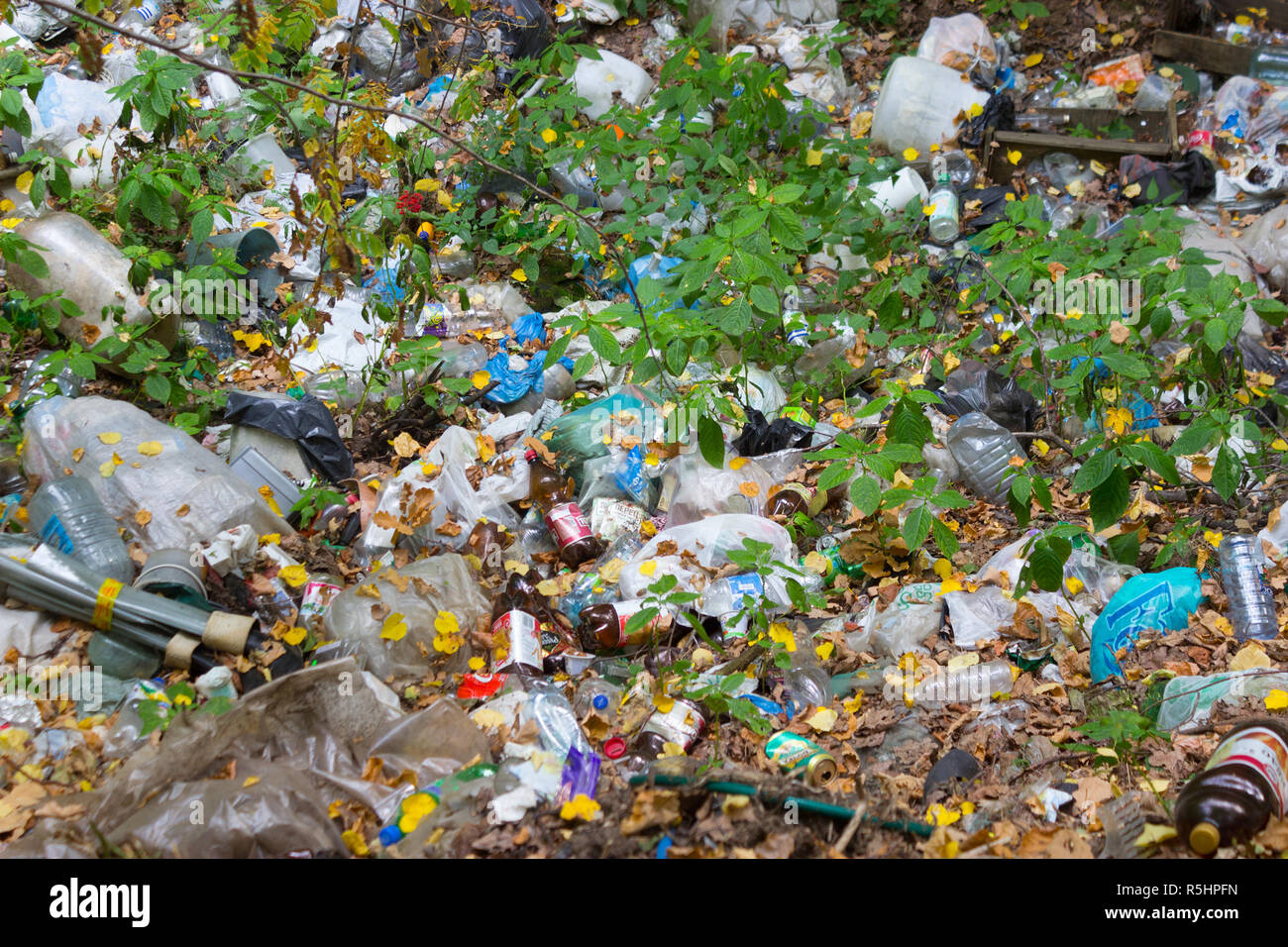 garbage in the forest. big dump in green forest Stock Photo - Alamy