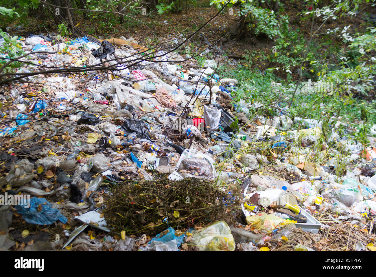 garbage in the forest. big dump in green forest Stock Photo - Alamy