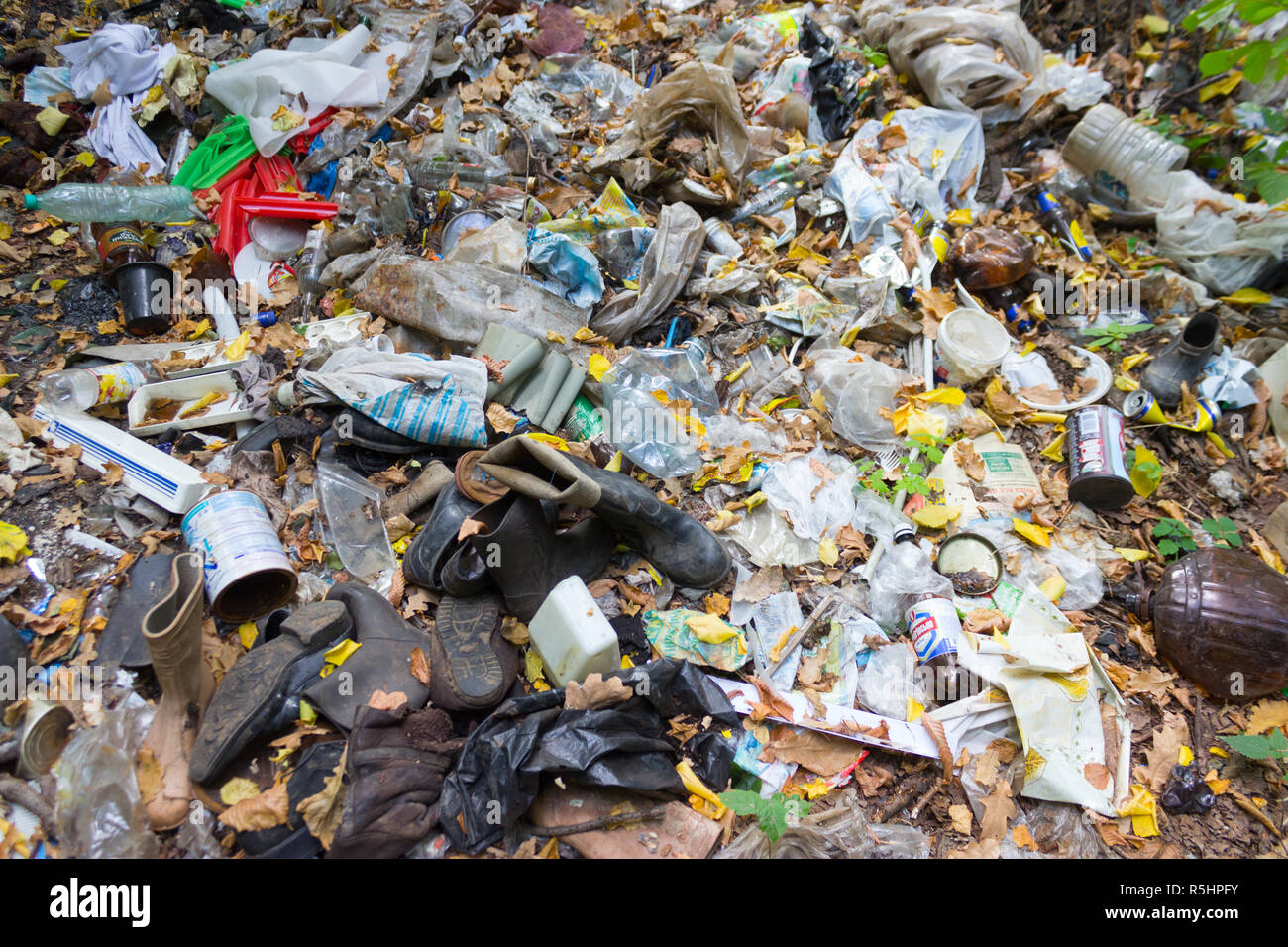 garbage in the forest. big dump in green forest Stock Photo - Alamy