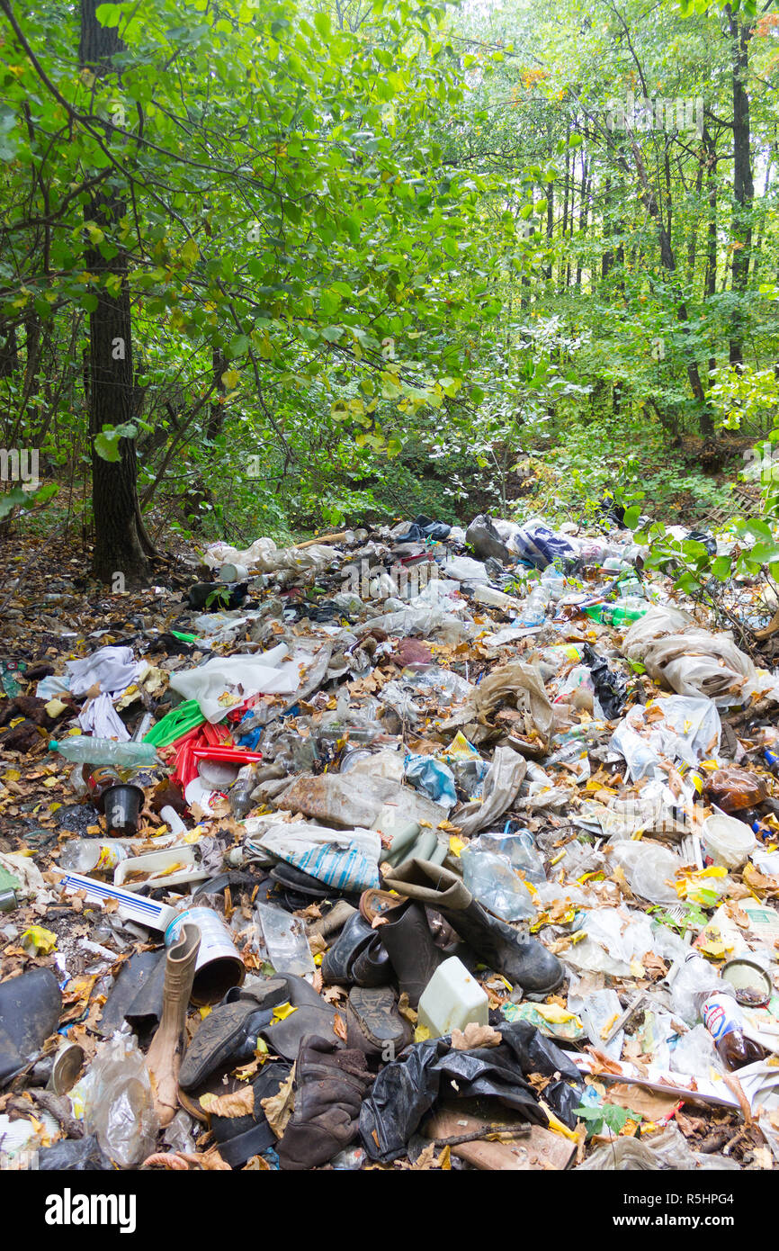 garbage in the forest. big dump in green forest Stock Photo - Alamy