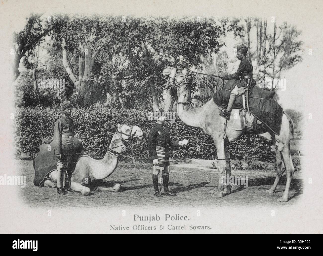 Punjab Police. Native officers & camel sowars. Collection of postcard ...