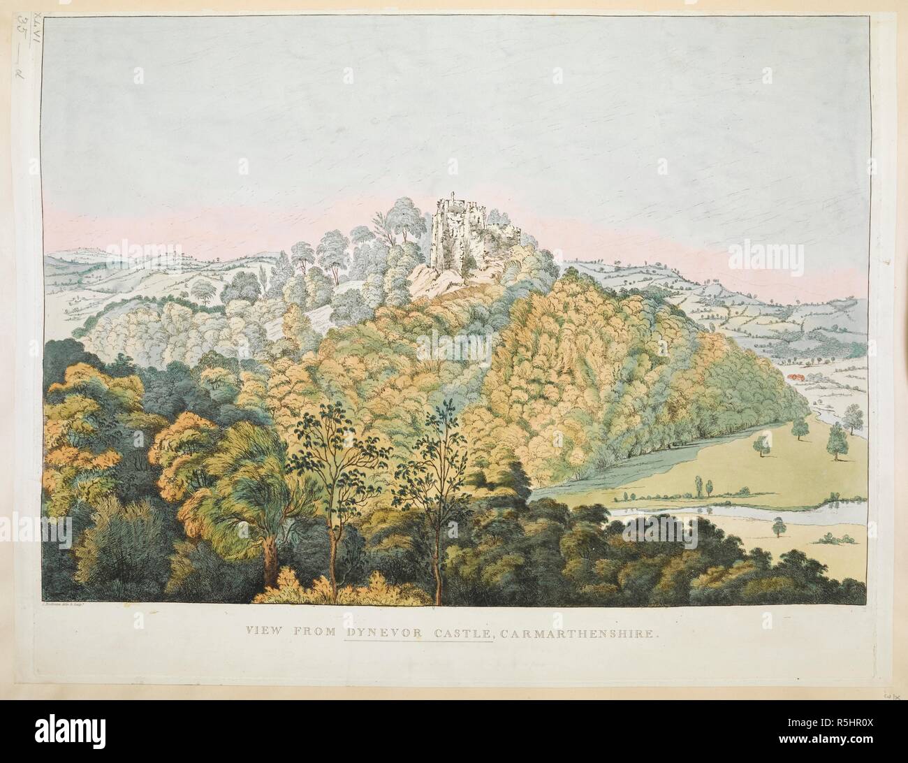 The ruins of Dinefwr Castle on a tree-covered hill; a river to the ...