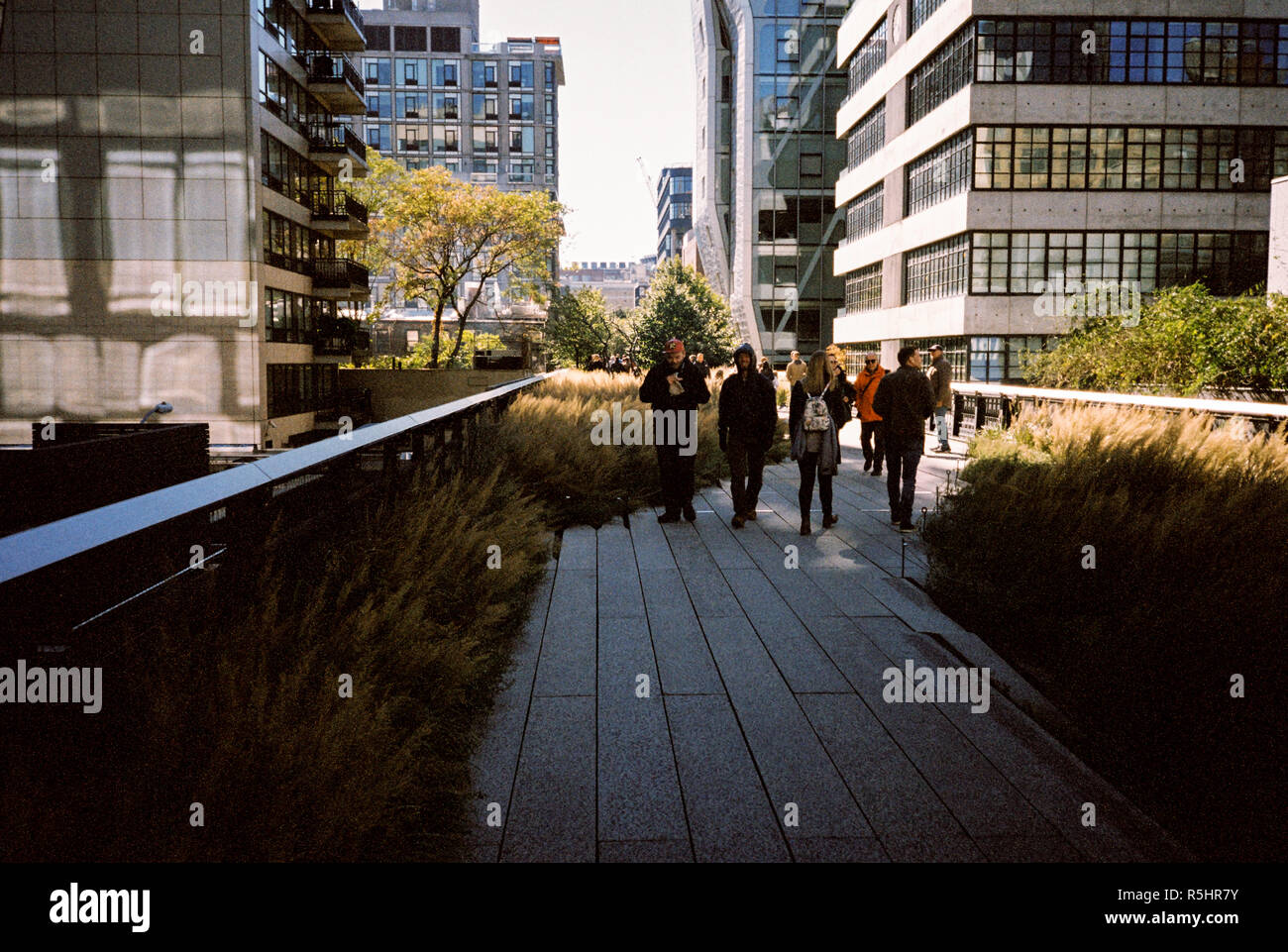 The High Line Park a walkway built on an old elevated railway, Chelsea ...