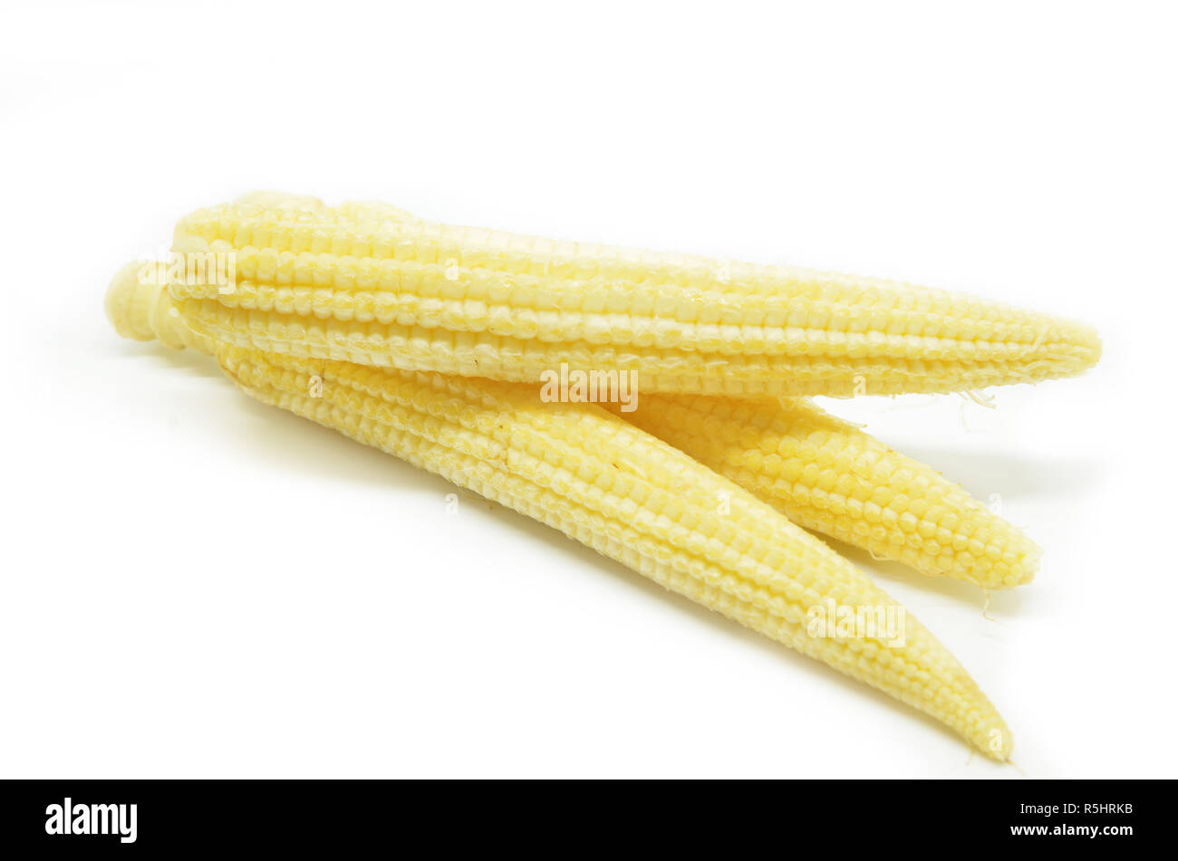Little corn plant Cut Out Stock Images & Pictures - Alamy