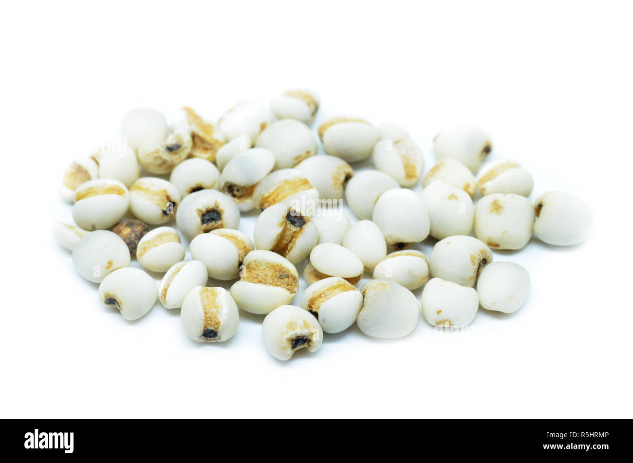 Jobs tears seeds hi-res stock photography and images - Alamy