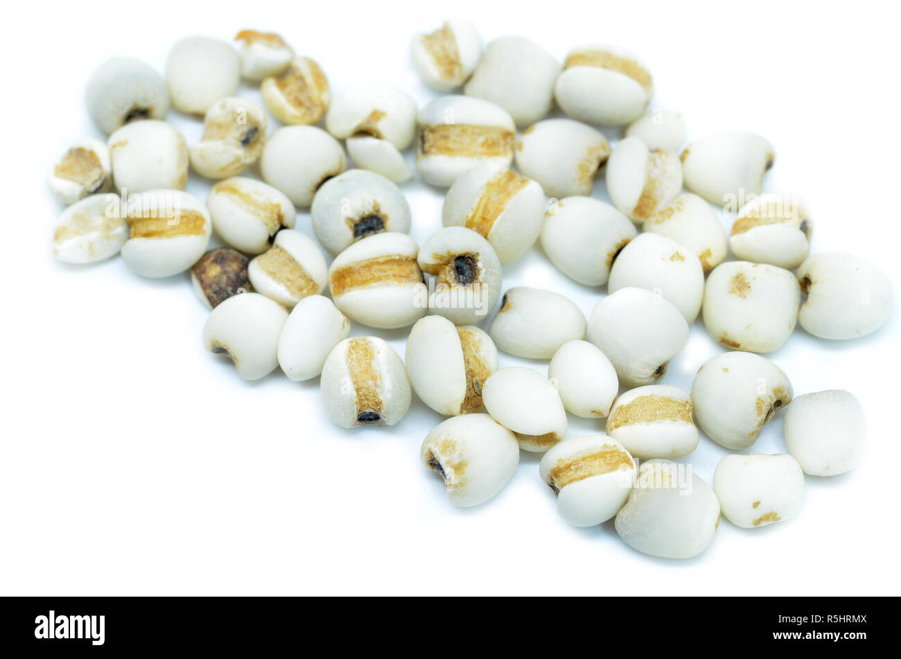 Jobs tears seeds hi-res stock photography and images - Alamy