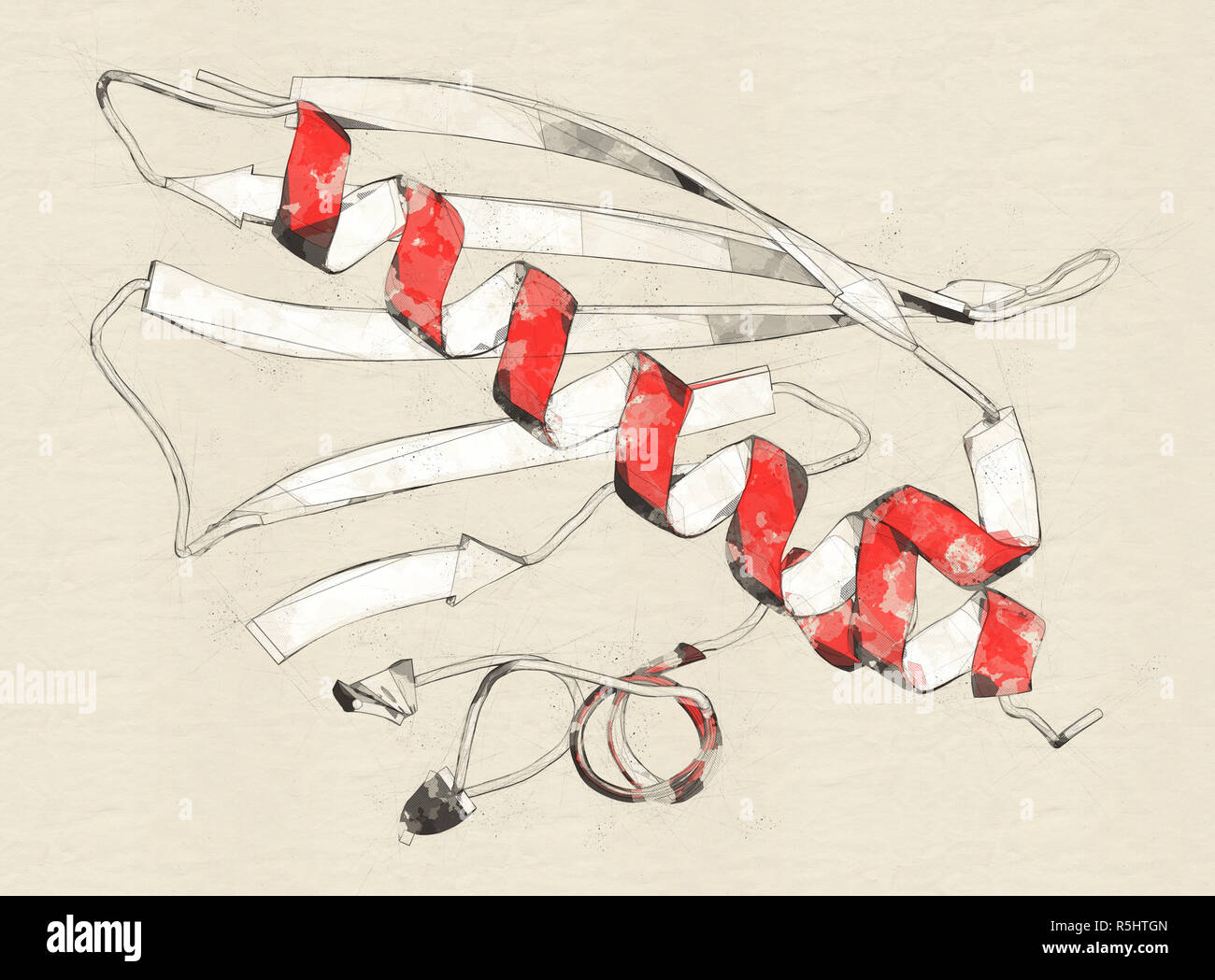 Birch pollen allergen protein Bet V1. 3D rendering based on protein ...