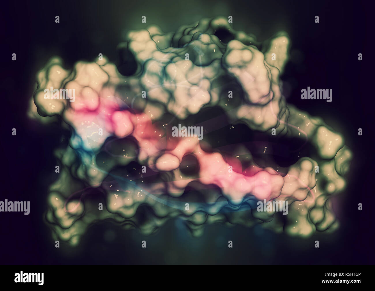 Birch pollen allergen protein Bet V1. 3D rendering based on protein ...