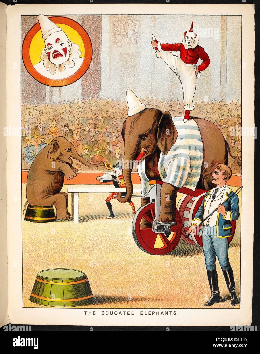 Elefant clowns hi-res stock photography and images - Alamy