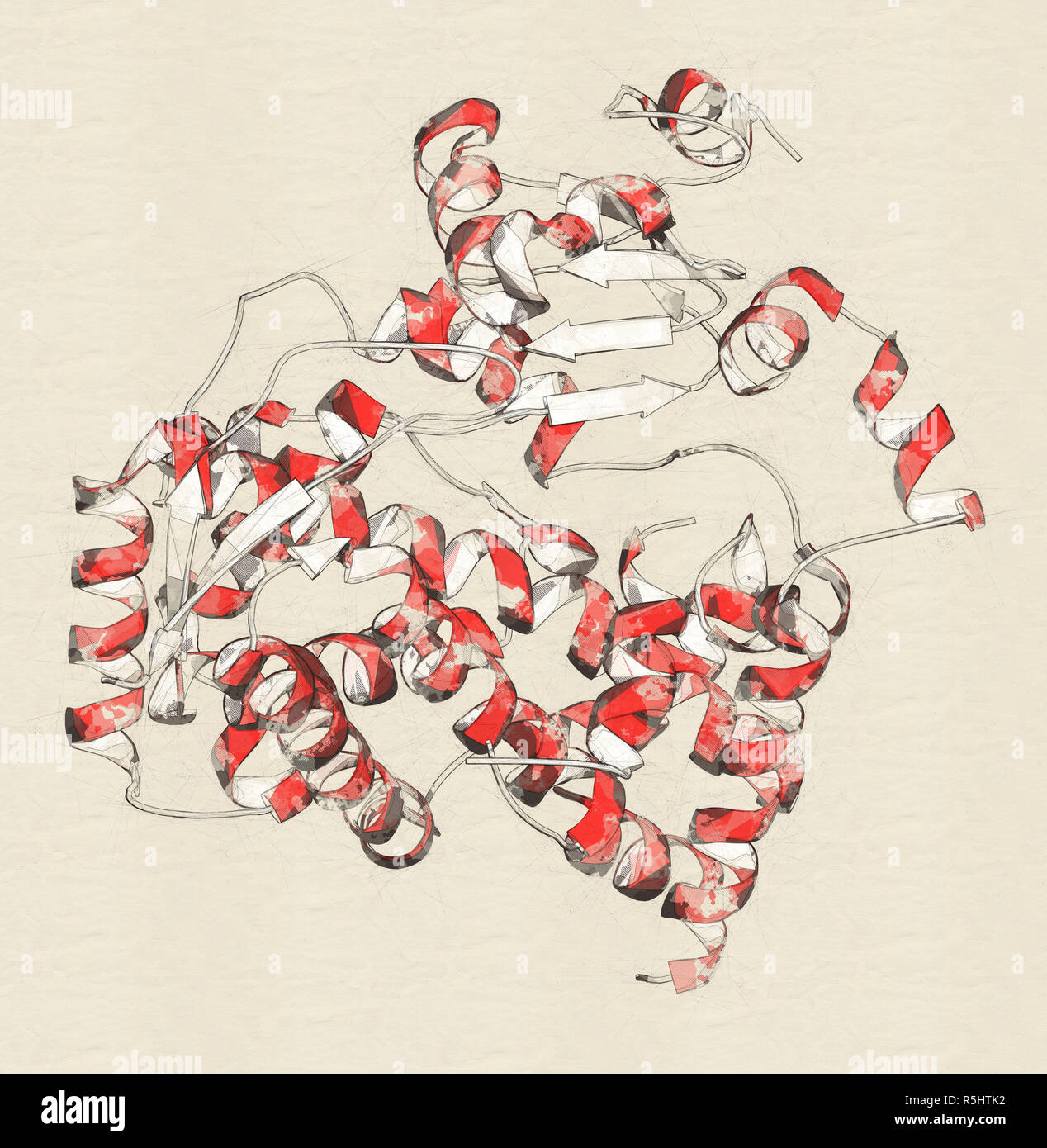 Cytochrome P450 (CYP3A4) liver enzyme in complex with the antibiotic ...
