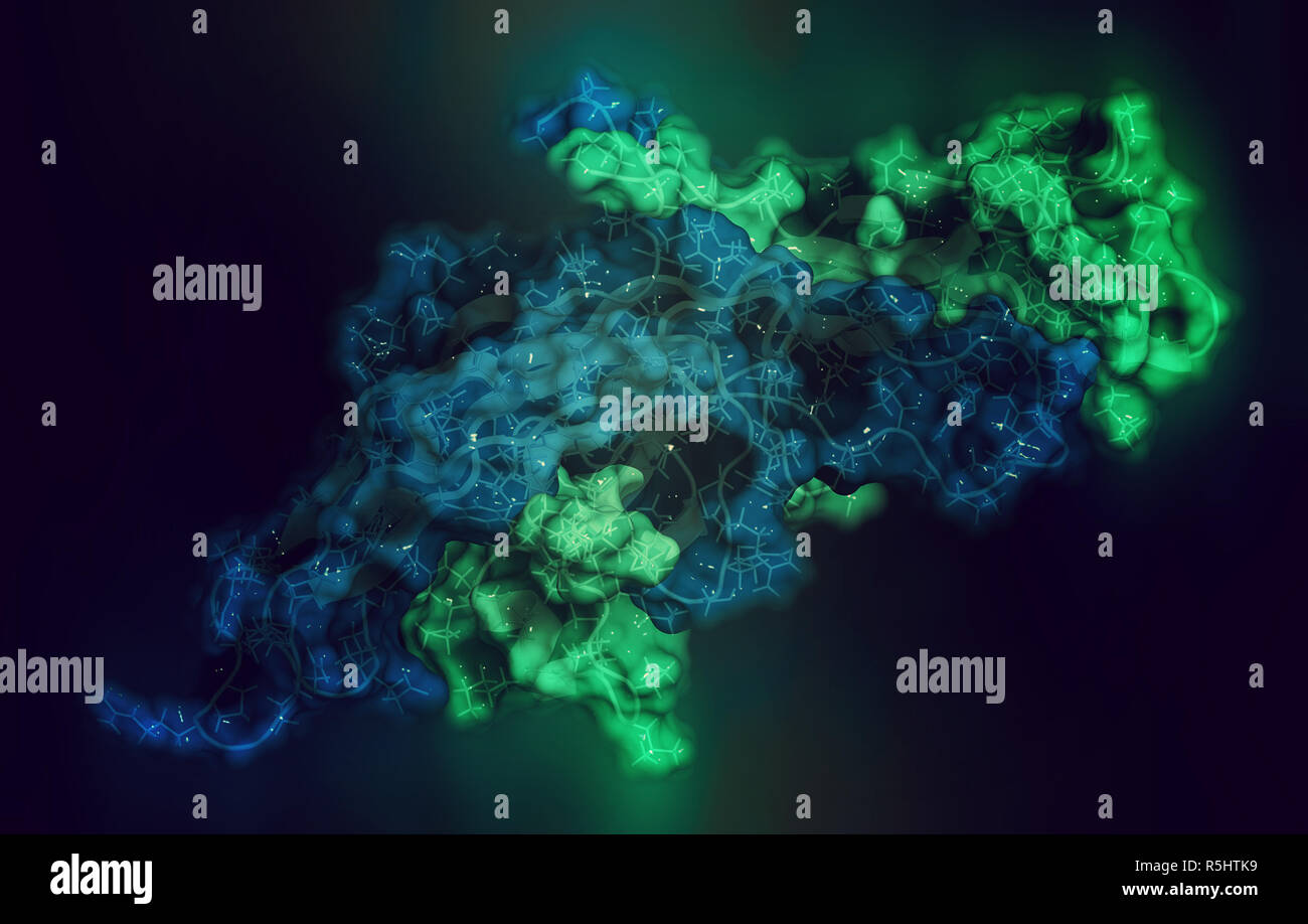 Human Chorionic Gonadotropin (hCG) glycoprotein hormone, chemical ...