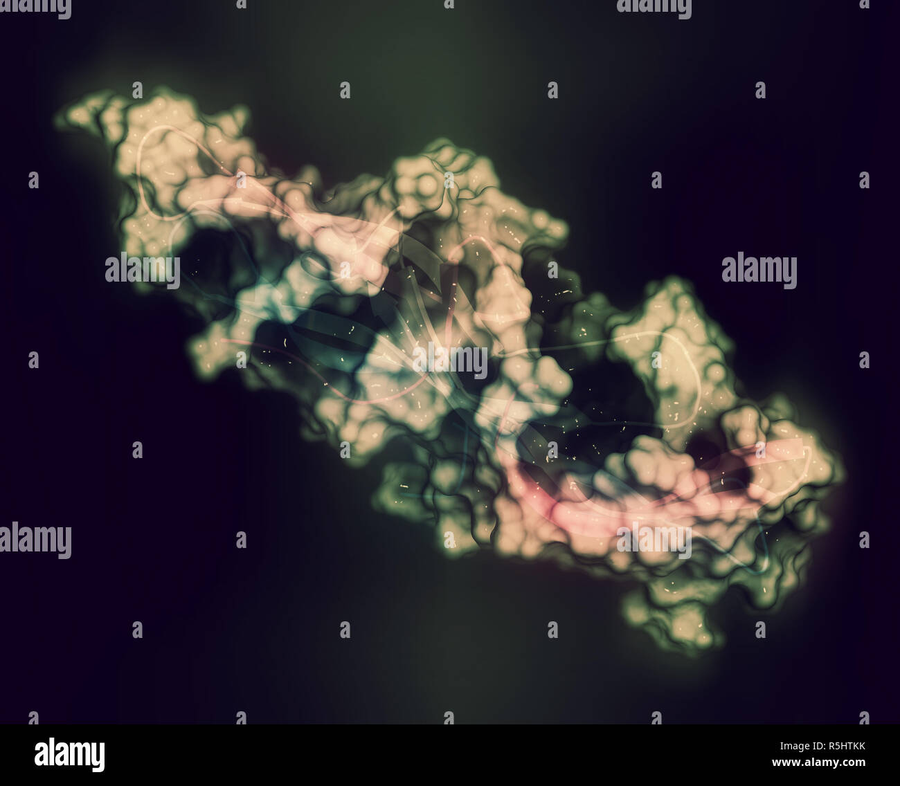 Human Chorionic Gonadotropin (hCG) glycoprotein hormone, chemical ...