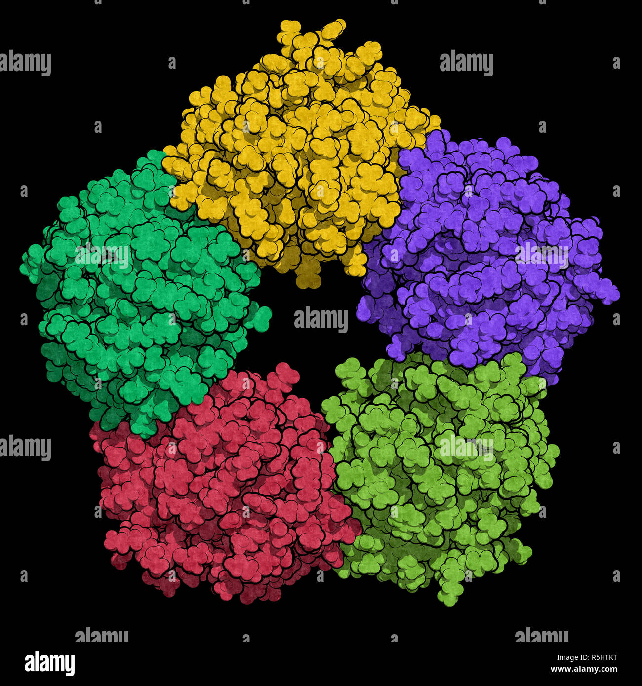 C-reactive protein (CRP, human) inflammation biomarker protein ...