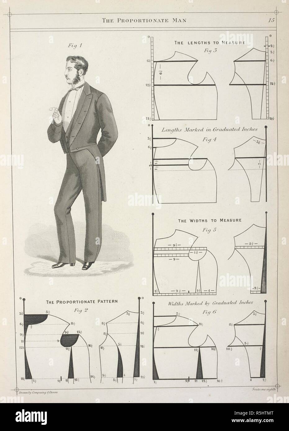 Proportionate hi-res stock photography and images - Alamy