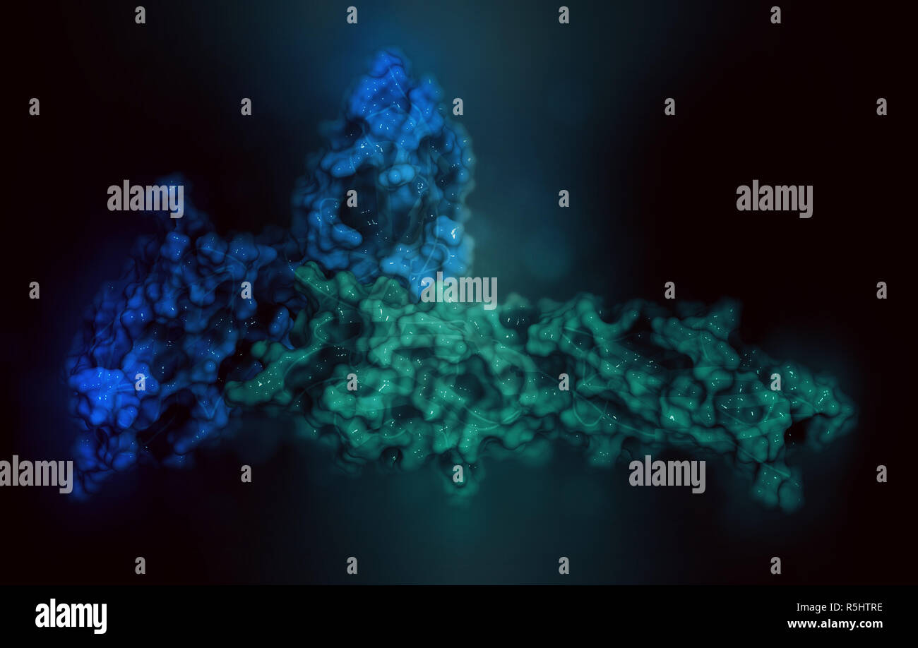 Immune cell cartoon hi-res stock photography and images - Alamy