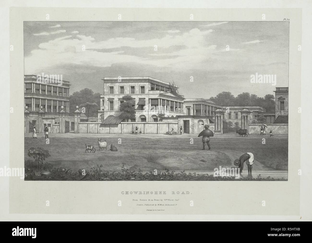 Bull mansion hi-res stock photography and images - Alamy