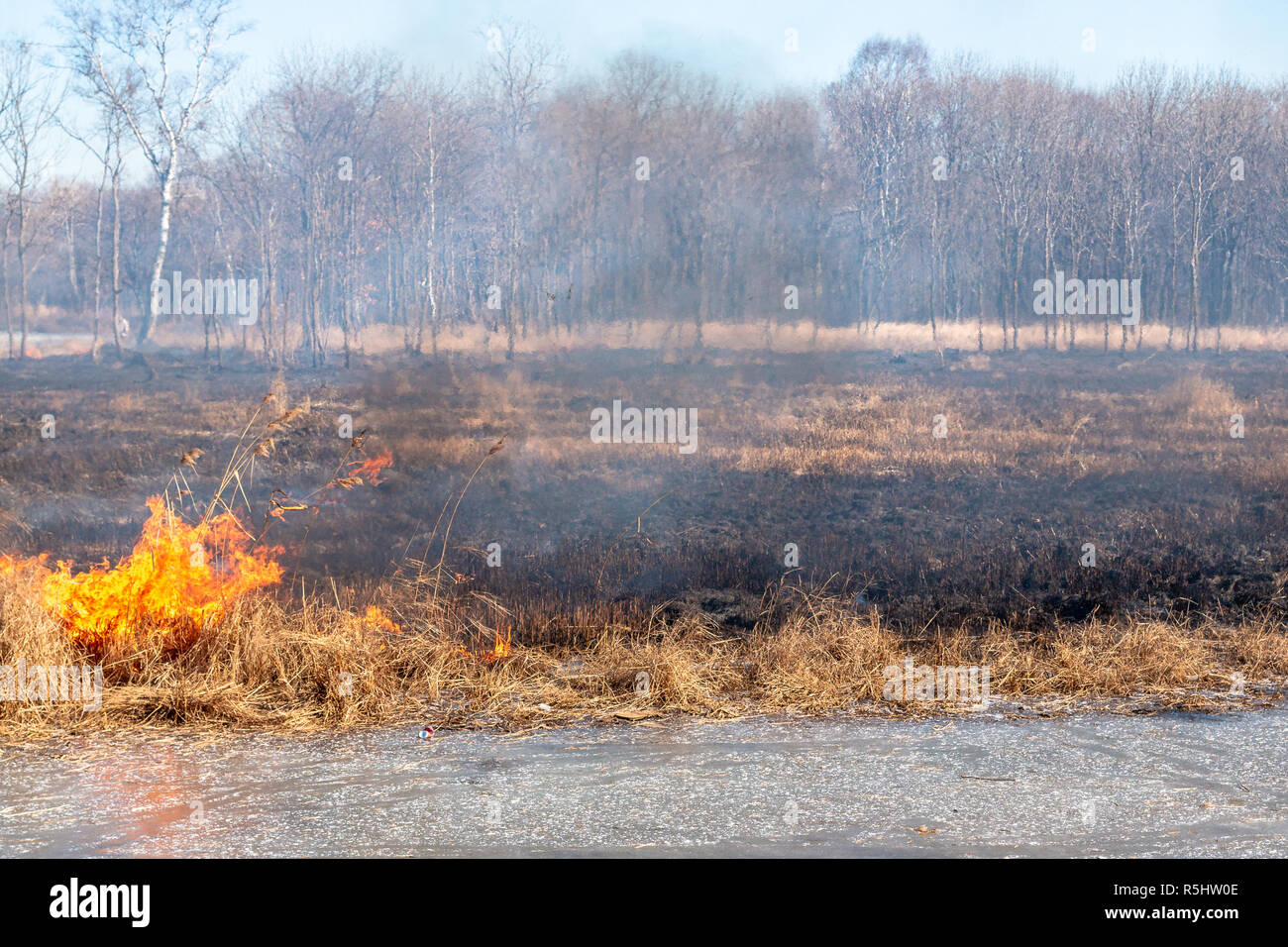 A strong fire spreads in gusts of wind through dry grass on an autumn ...