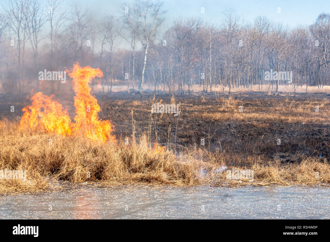 A strong fire spreads in gusts of wind through dry grass on an autumn ...