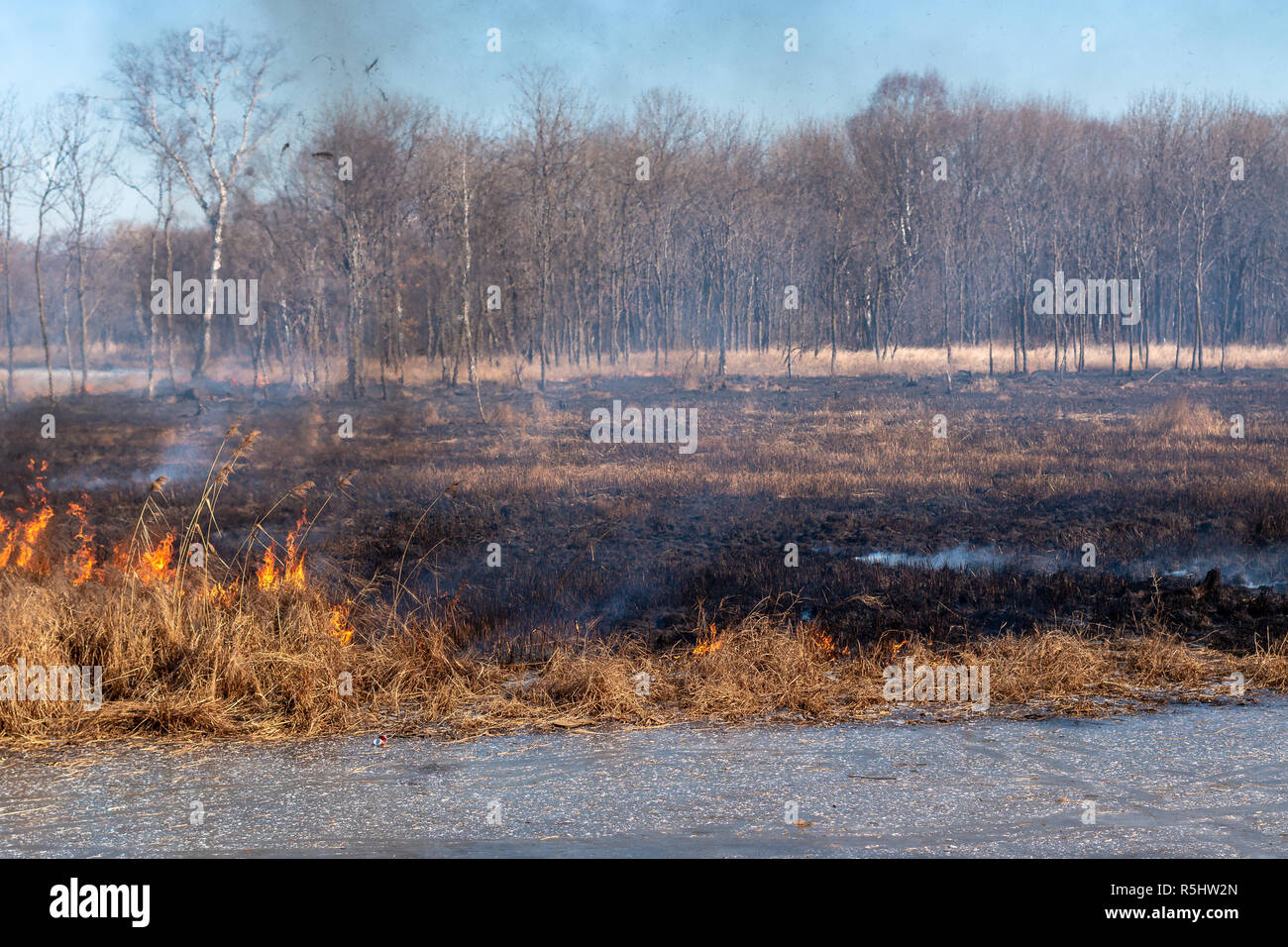 Strong Fire High Resolution Stock Photography and Images - Alamy