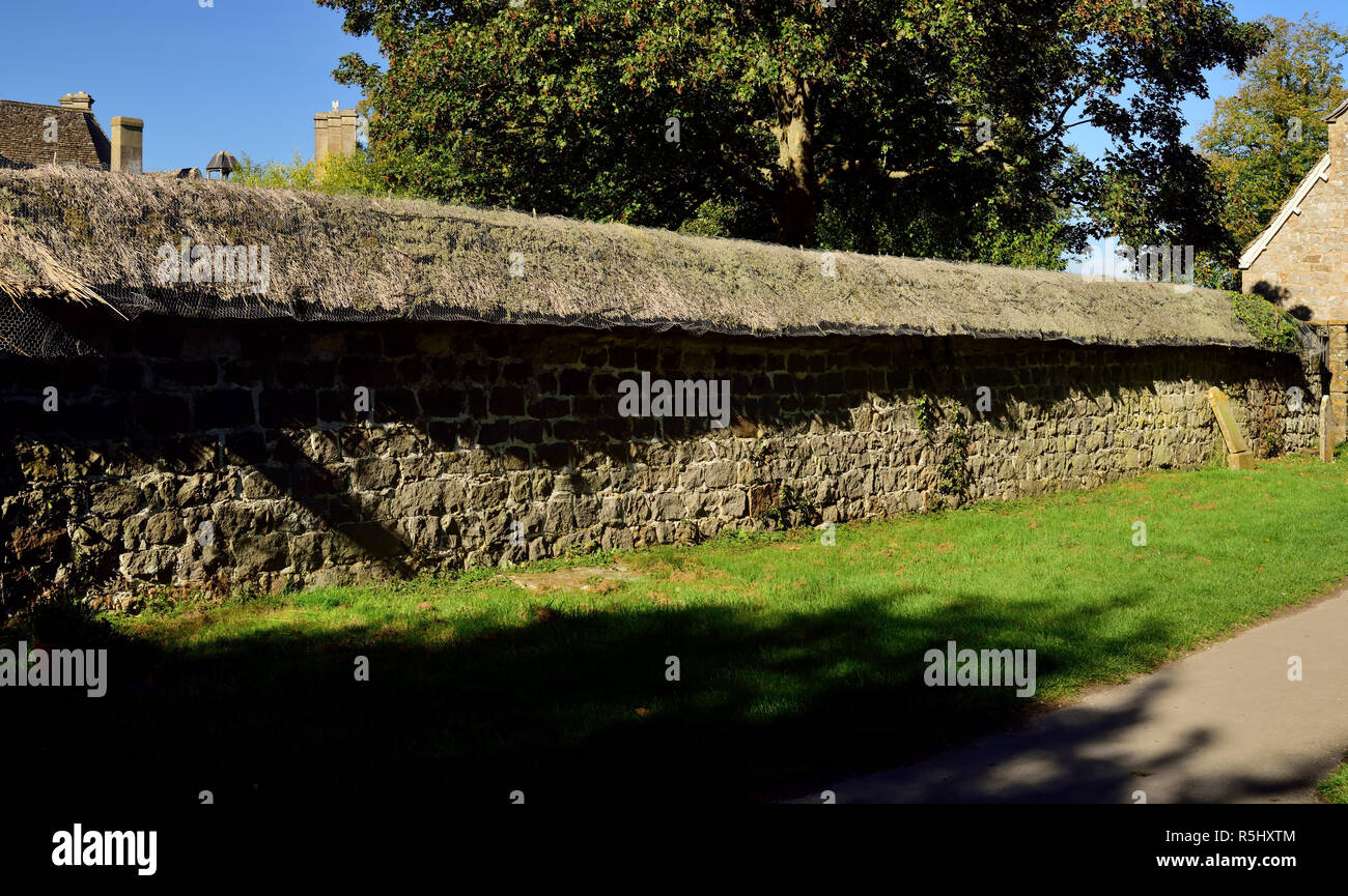 Thatched wall hi-res stock photography and images - Alamy