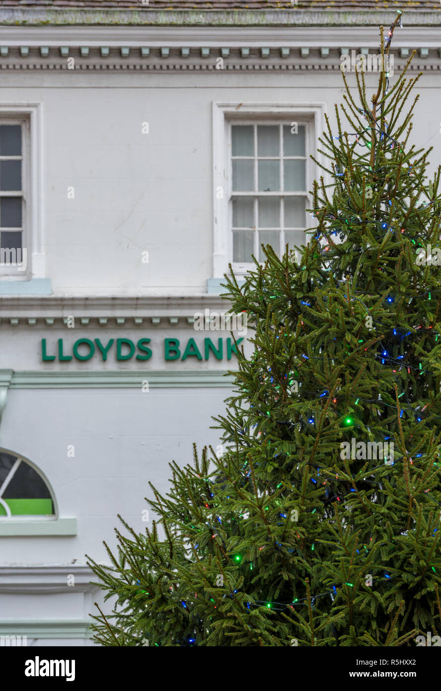 a large christmas tree next to a lloyds bank sign in a town centre ...