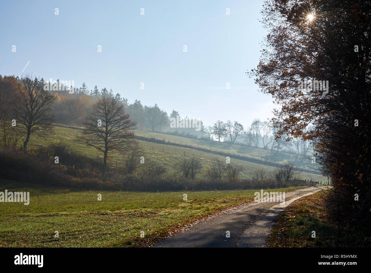 Road through the fields on midday with little haze Stock Photo - Alamy