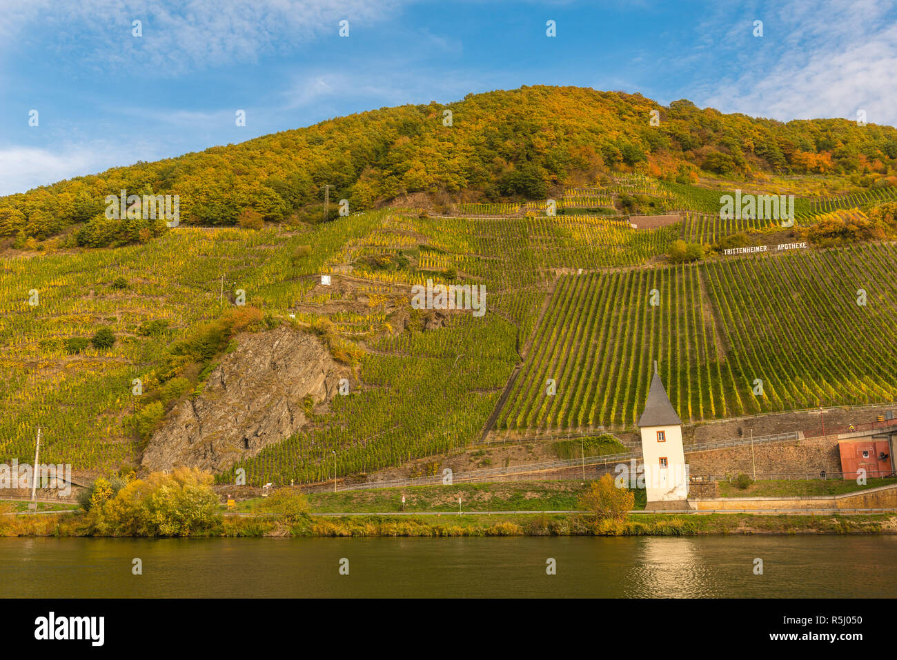 Trittenheim hi-res stock photography and images - Alamy