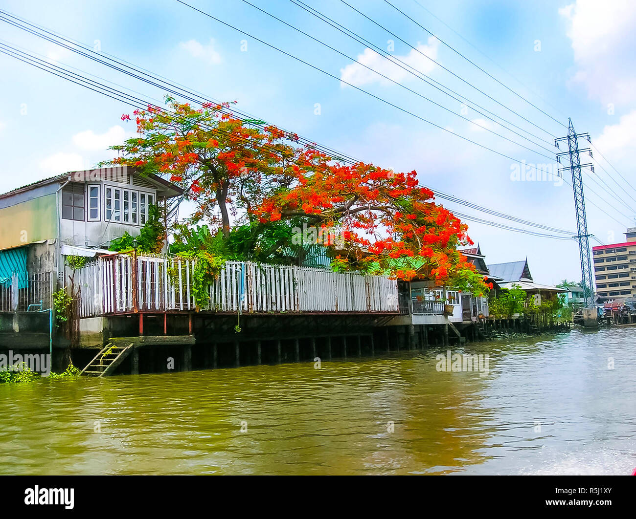 Wooden slums on stilts the riverside of Chao Praya River in Bangkok ...