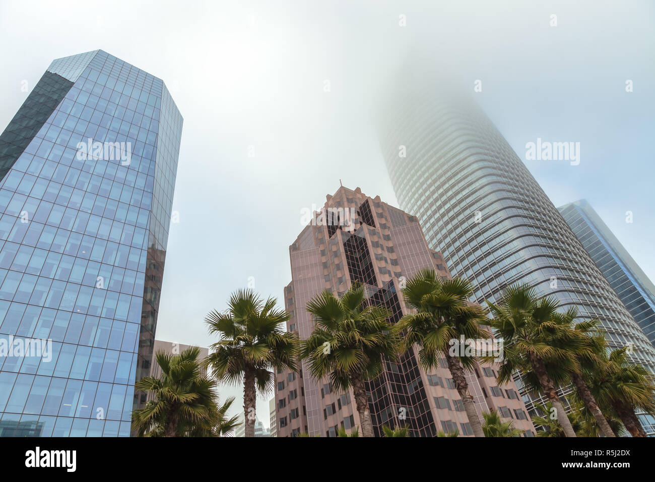 Salesforce Tower San Francisco High Resolution Stock Photography and ...