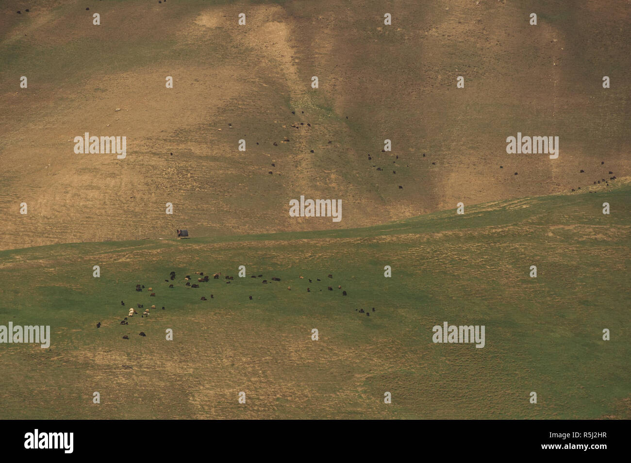 Scenes from small villages in rural Uzbekistan Stock Photo - Alamy