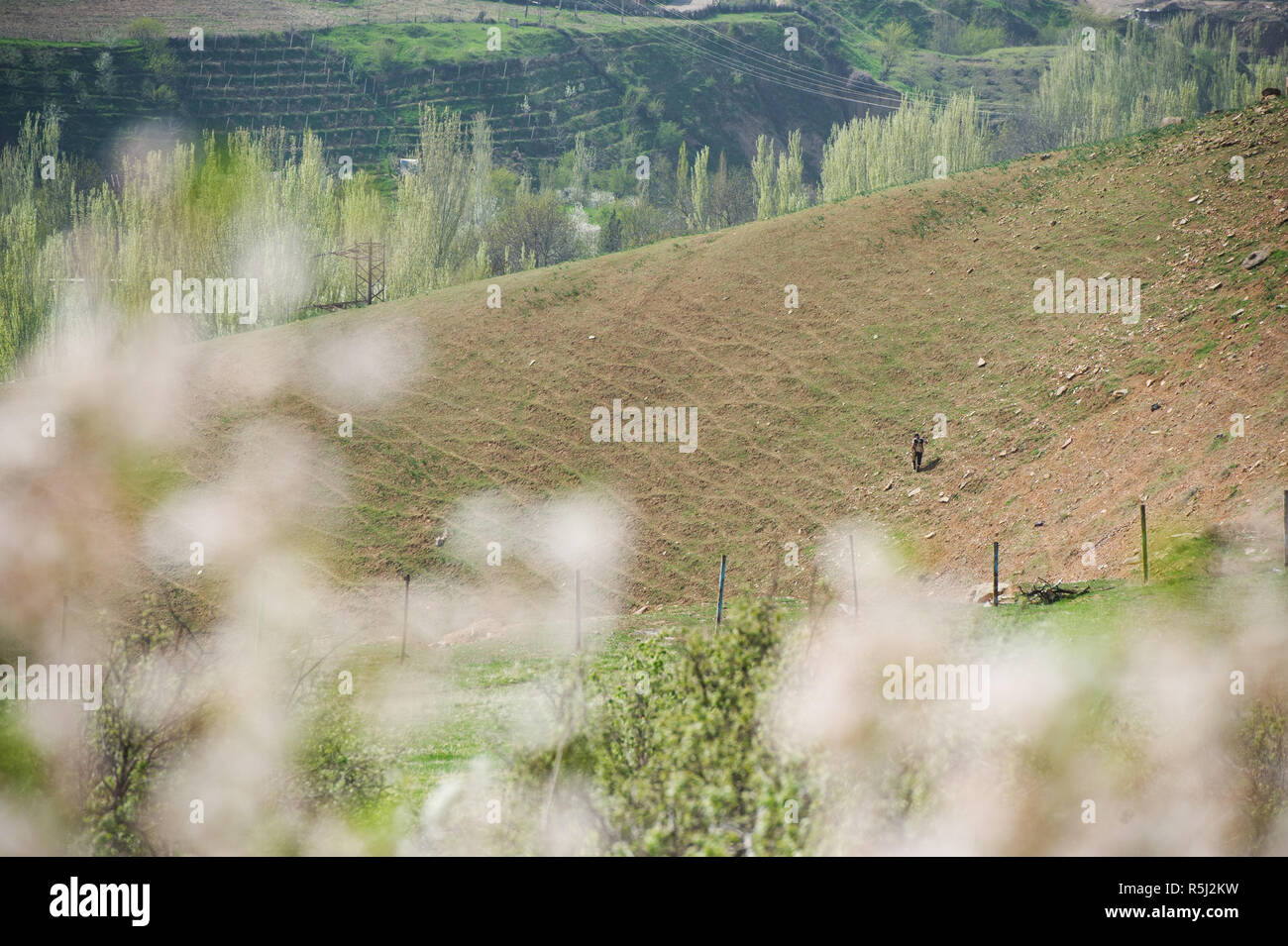 Scenes from small villages in rural Uzbekistan Stock Photo - Alamy