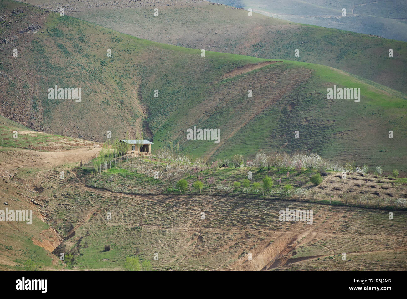 Scenes from small villages in rural Uzbekistan Stock Photo - Alamy