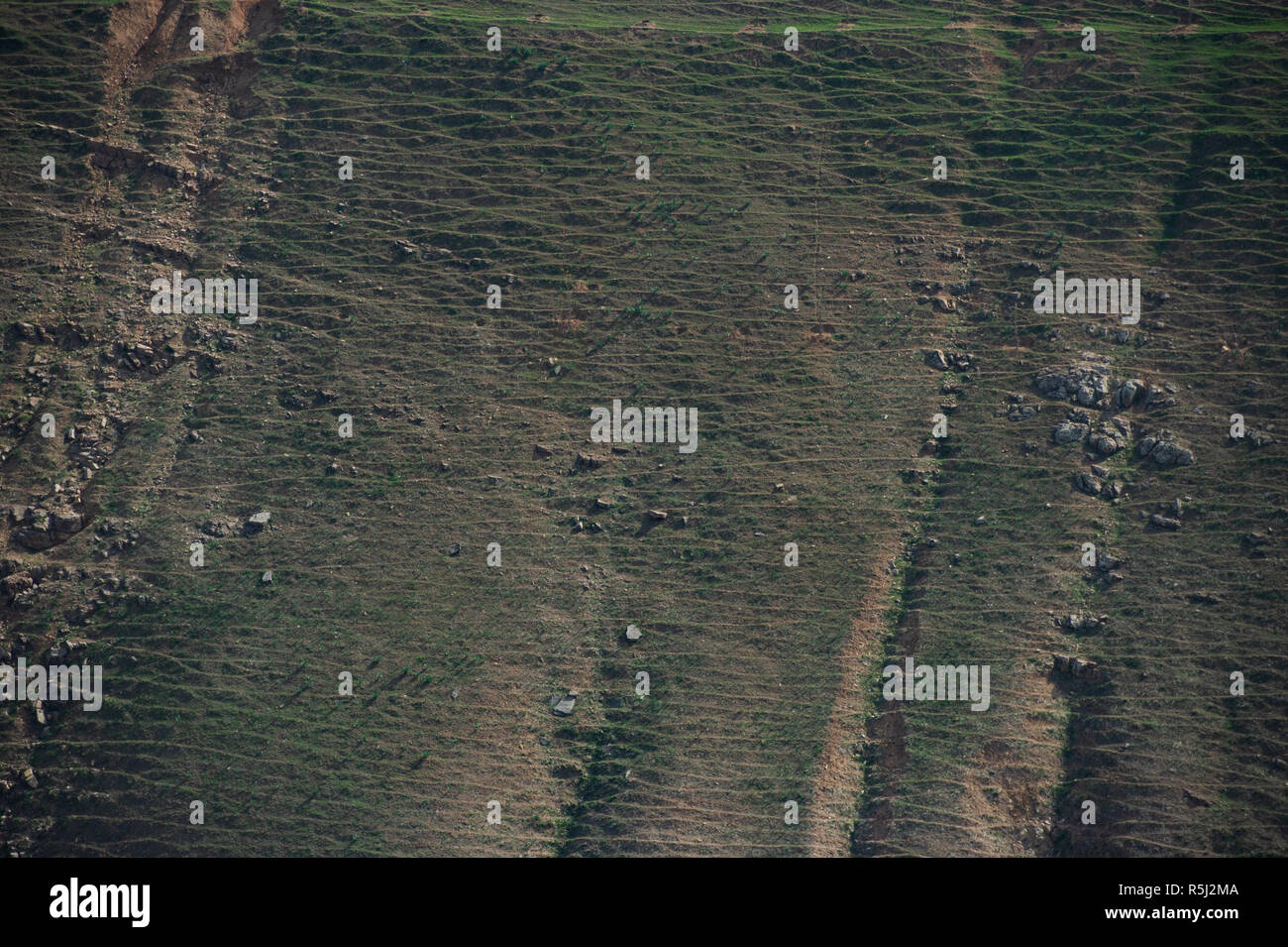 Uzbek houses hi-res stock photography and images - Alamy