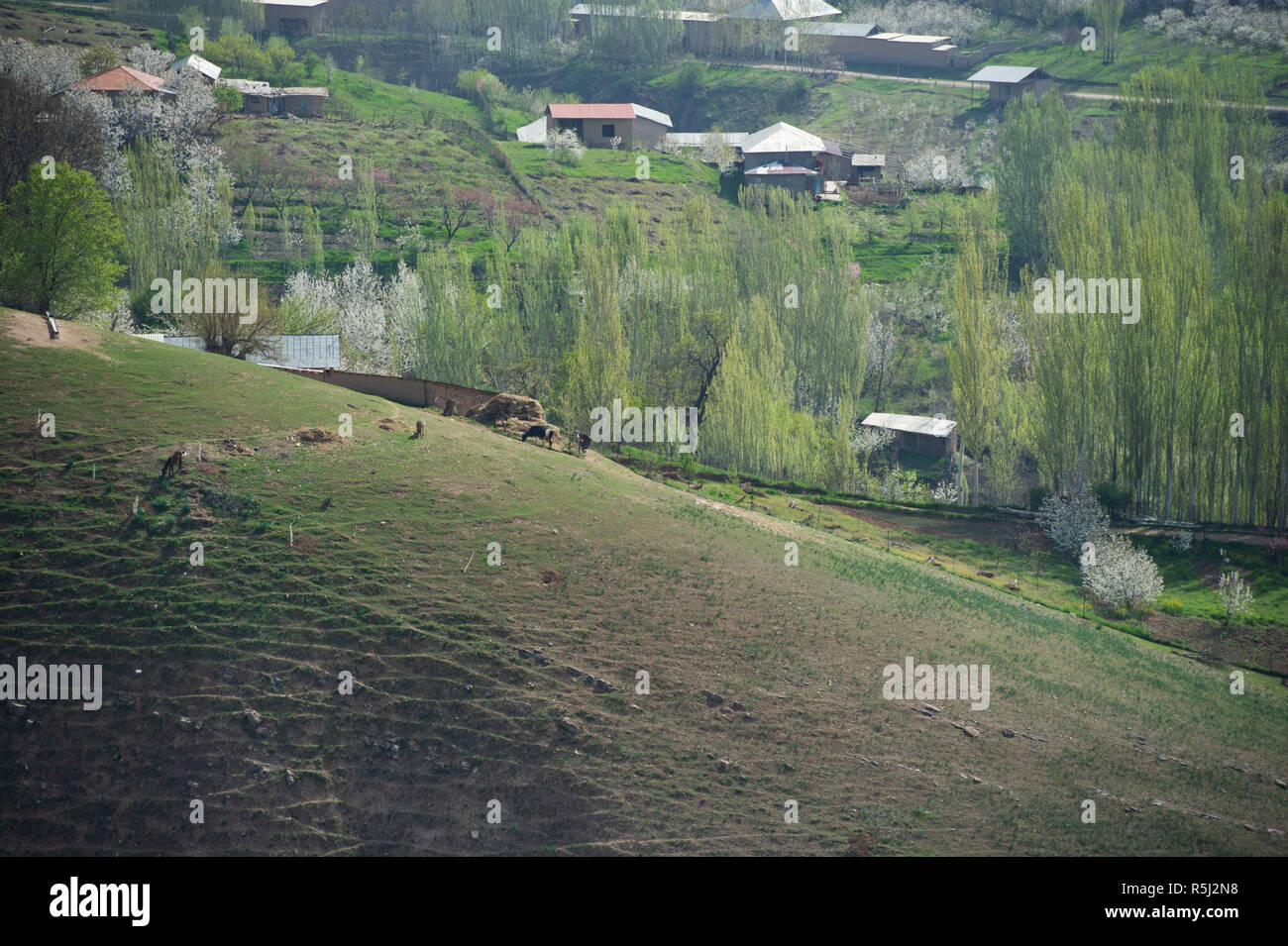 Scenes from small villages in rural Uzbekistan Stock Photo - Alamy