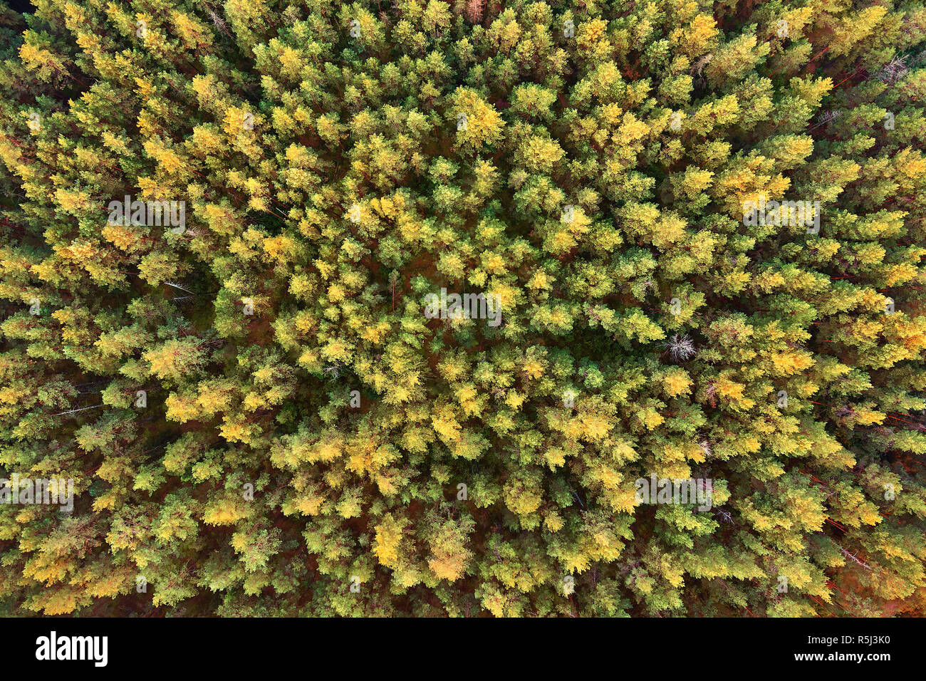 Height Perspective High Resolution Stock Photography and Images - Alamy