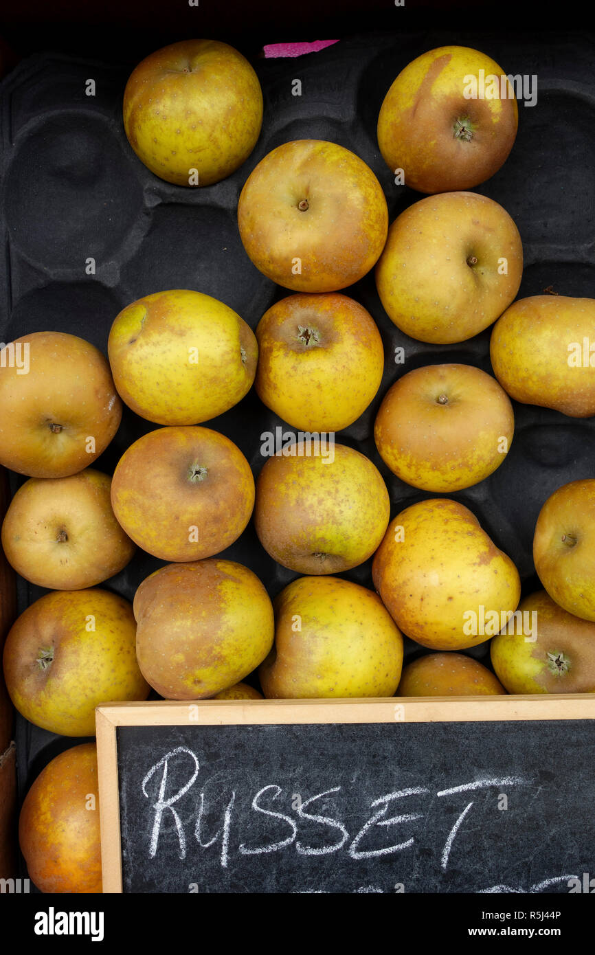 Old english apple varieties hi-res stock photography and images - Alamy